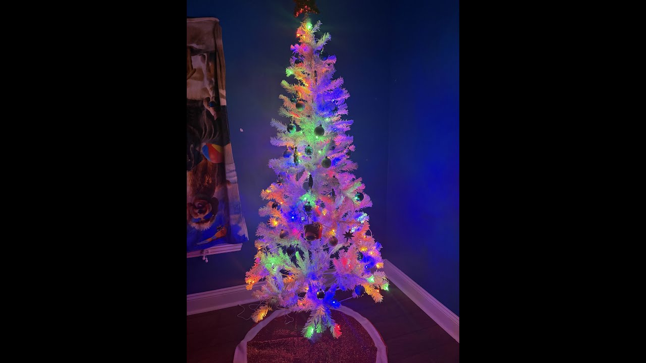 Tree - YouTube