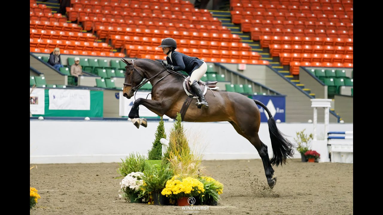 24. Emma Edelman 2026 New England Equitation Finals 15-17 open eq - YouTube