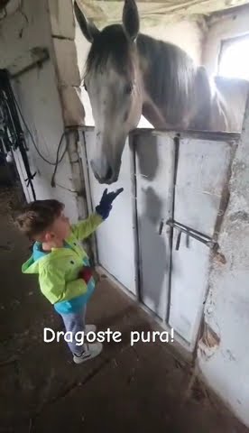 #horse #foryou #friesian Cal iapa armasar - YouTube