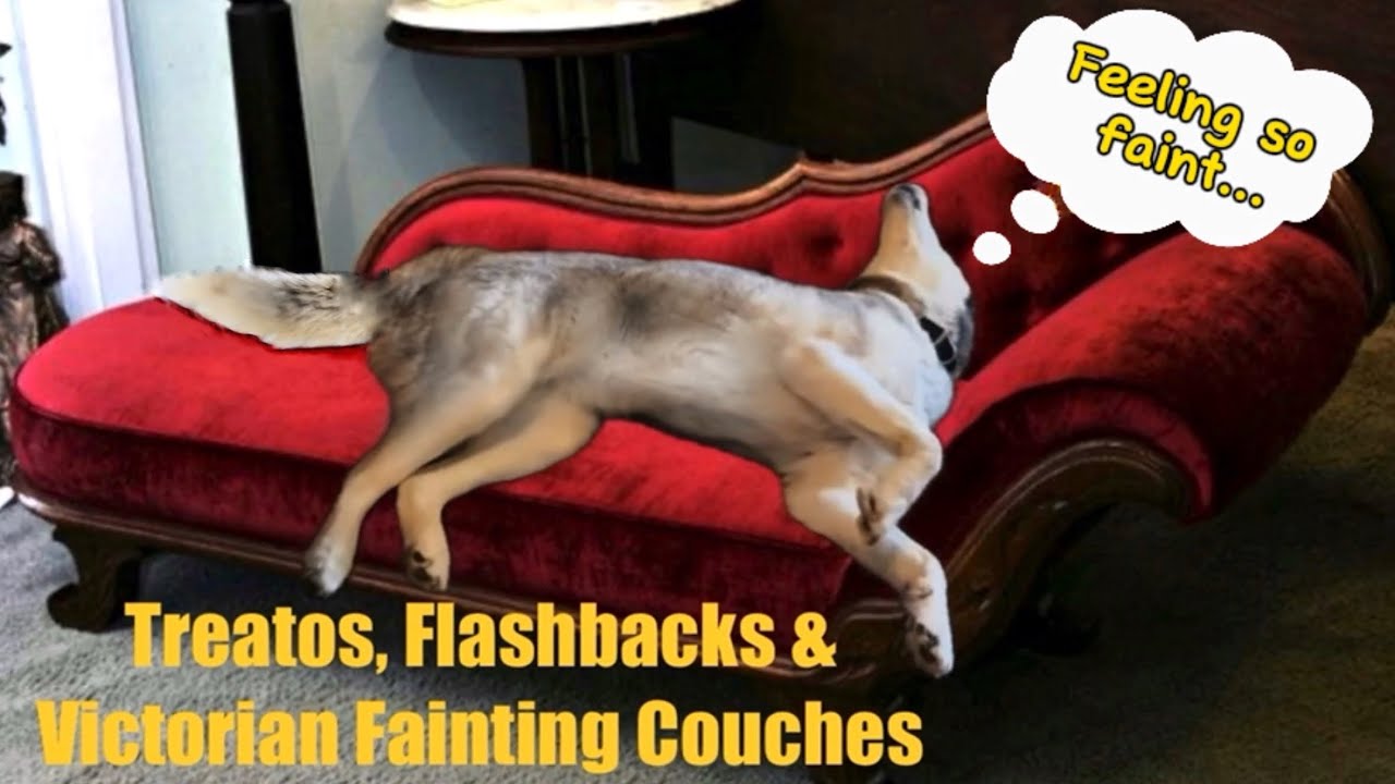 Treatos, Flashbacks & Victorian Fainting Couches - YouTube