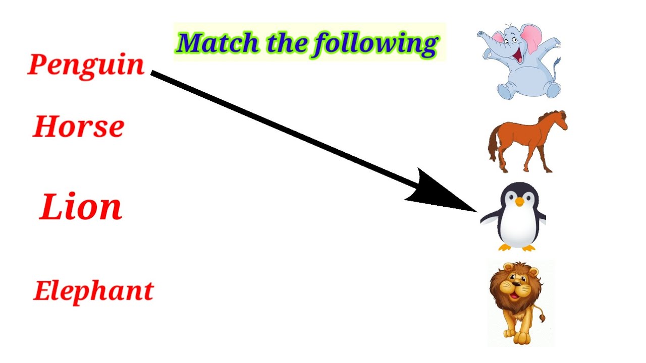 Match the word with pictures | Match the following |Match the words ...