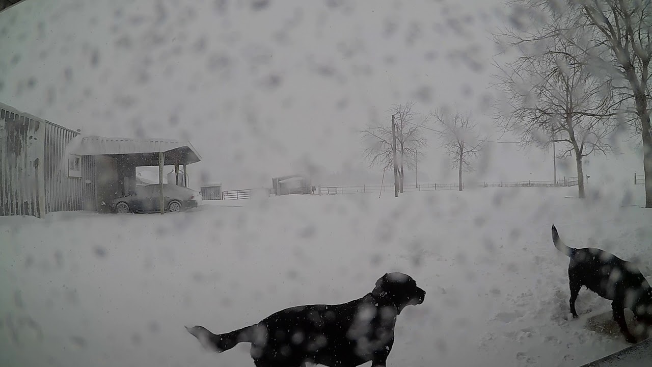 Snow storm time lapse - YouTube