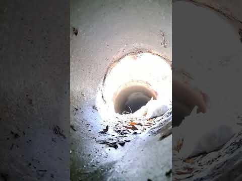 3 idiots mess around in pipe 😝 - YouTube
