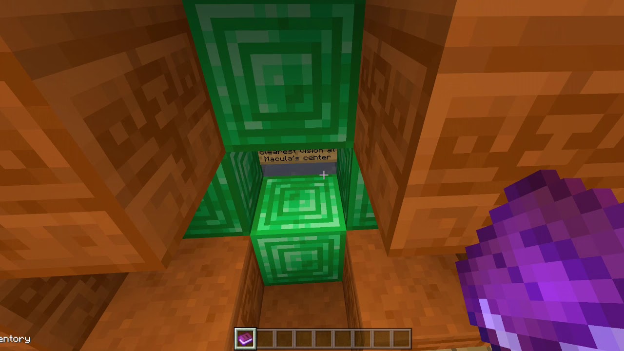 The human eye, Minecraft - YouTube