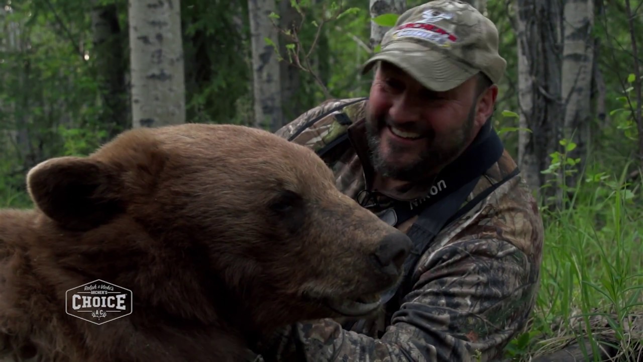 Color phase bears in Alberta - YouTube