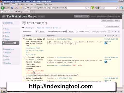 Introduction To Trackbacks - YouTube