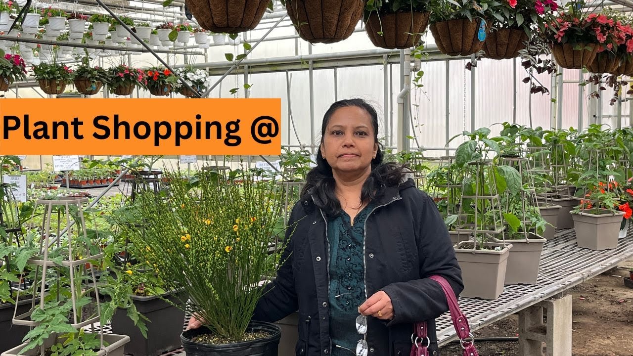 Plant Shopping II @ Gasko's Farm II May 4th 2024 - YouTube