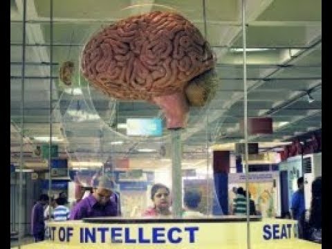 Awesome Human Biology Gallery In National Science Museum Delhi - YouTube