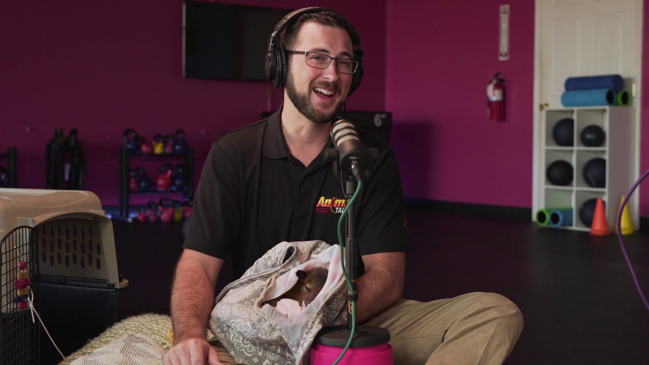 #13 -- Curious about Exotic Pets: Perspective of a Live Animal ...