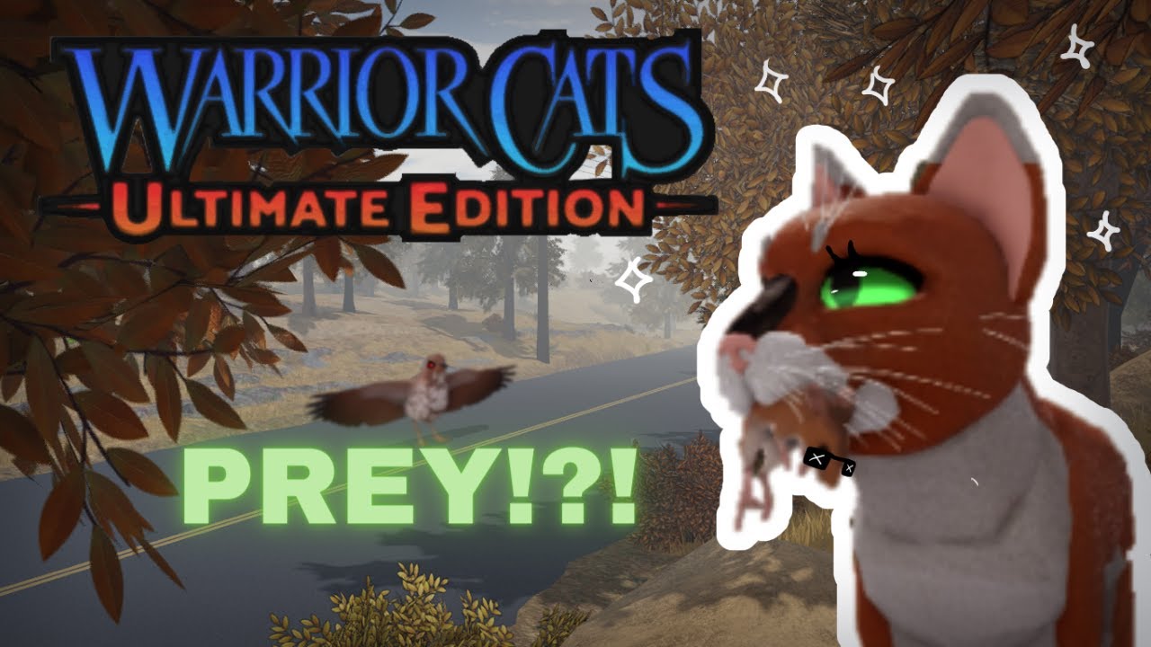 What the Testing Servers will be like! In WCUE (W.I.P) - YouTube