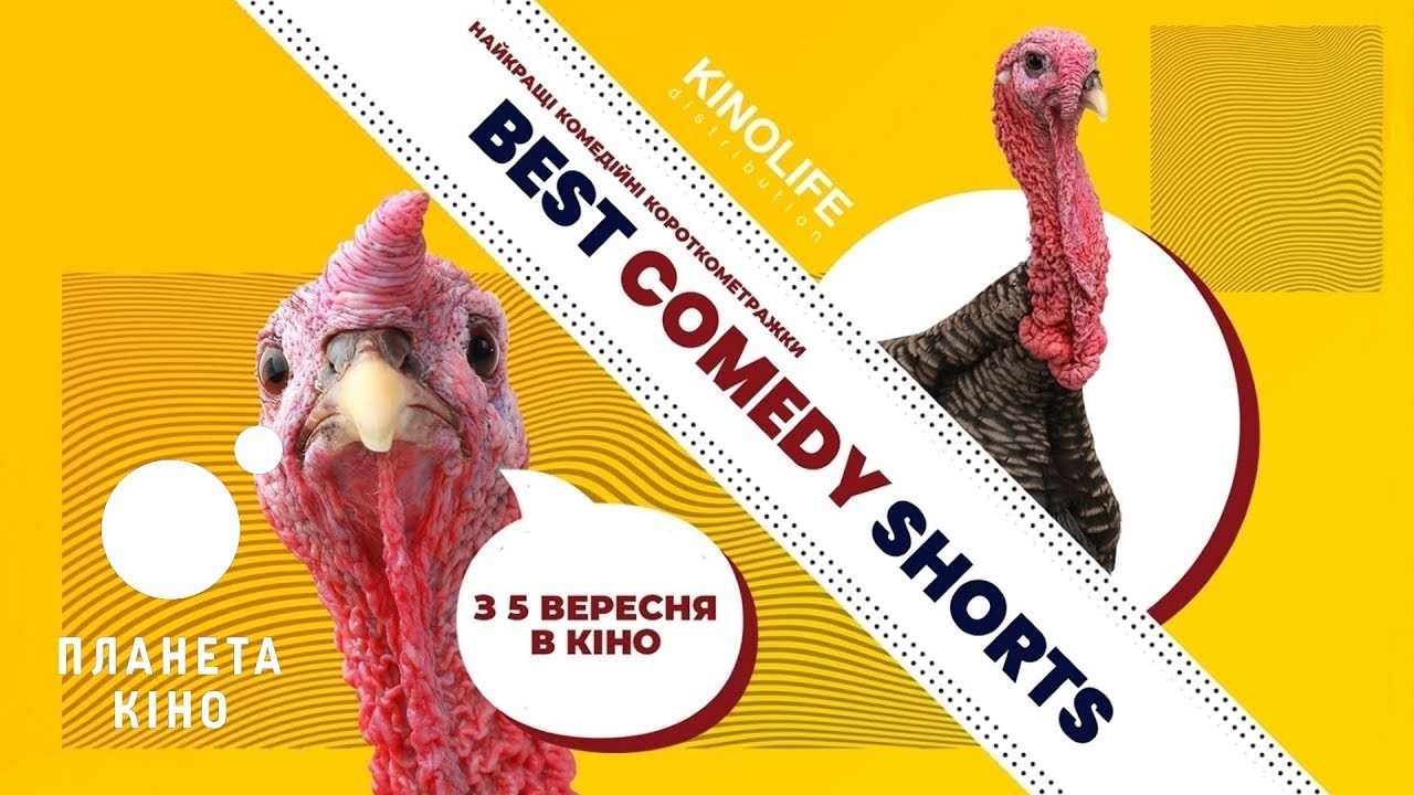Best Comedy Shorts - офіційний трейлер (український) - YouTube