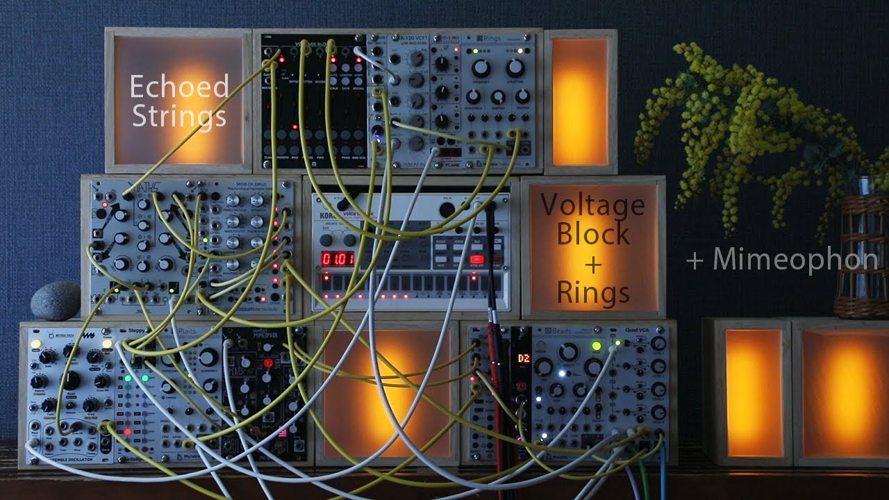 Echoed Strings Ambient Voltage Block + Rings + Mimeophon / Mob of Emus ...