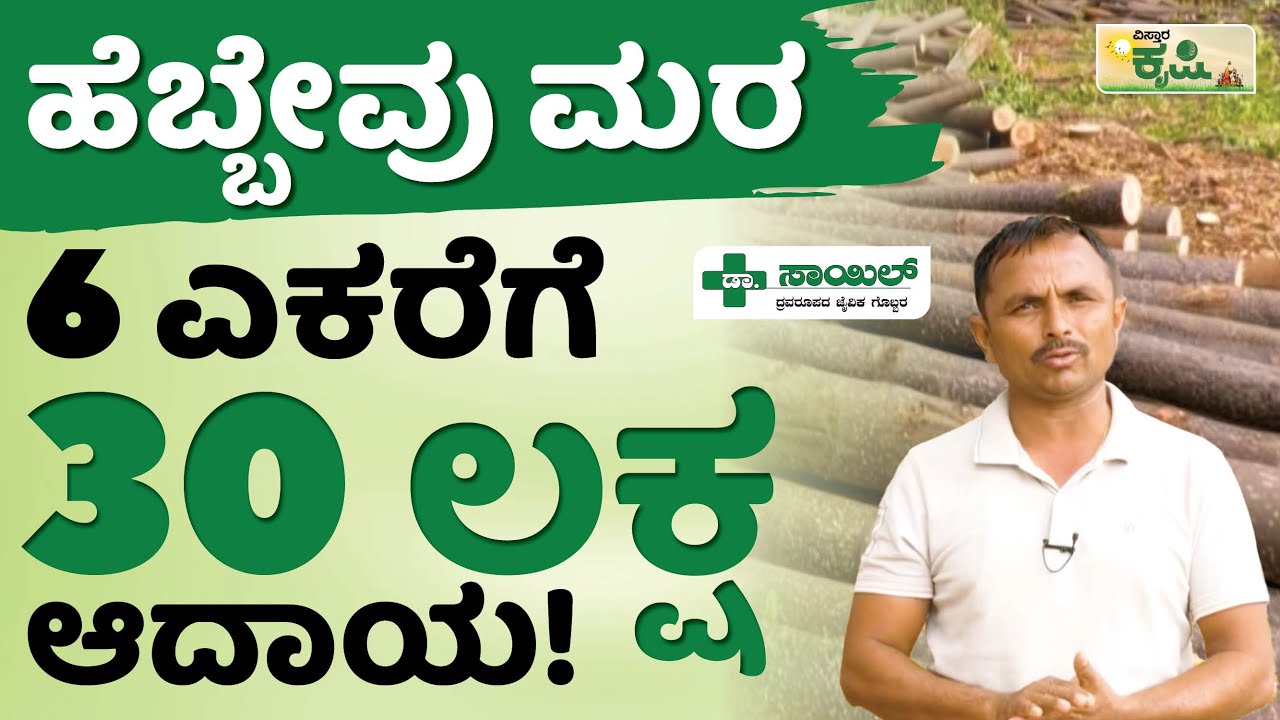 6 ಎಕರೆಗೆ 30 ಲಕ್ಷ ಆದಾಯ! | ಹೆಬ್ಬೇವು ಮರ | Vistara Krishi | Hebbevu Tree ...
