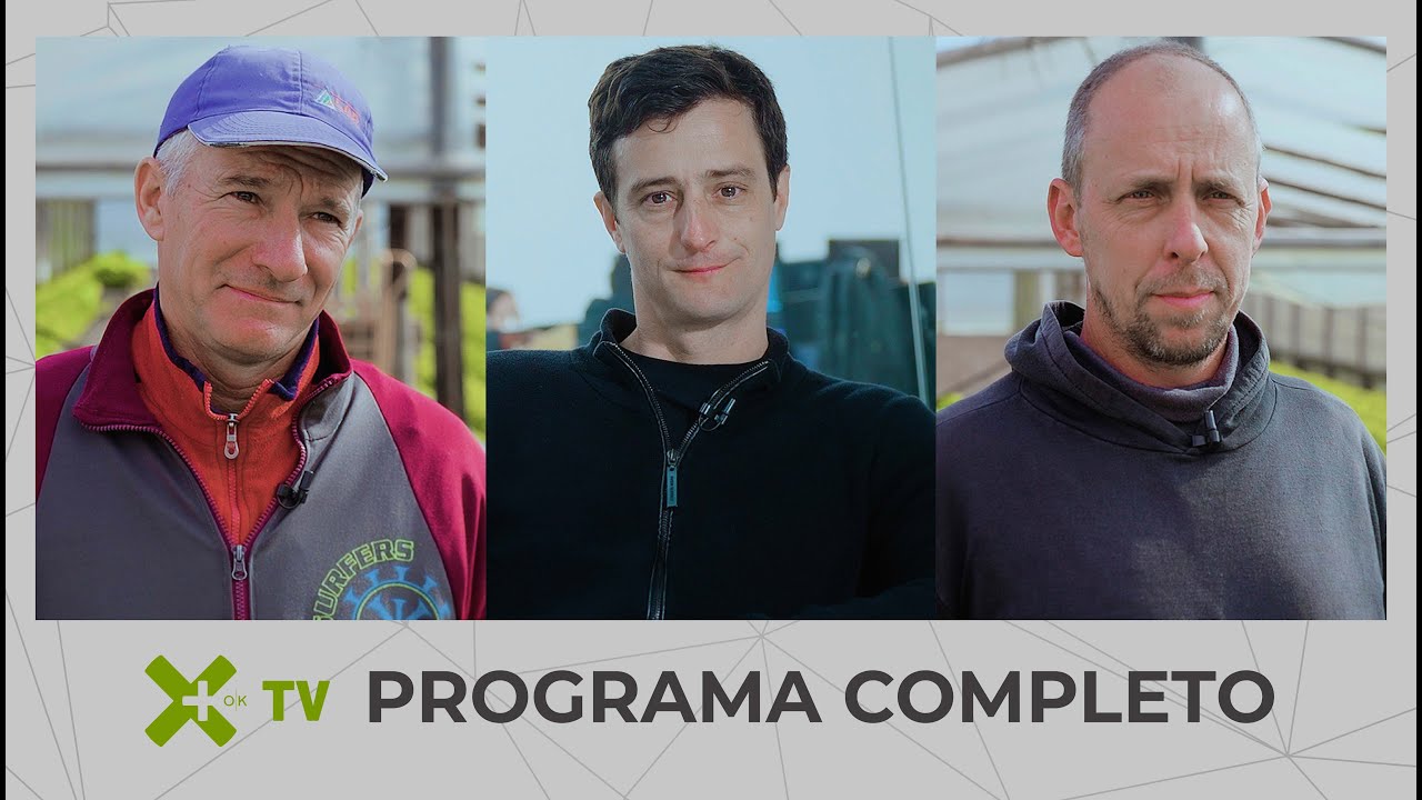 Programa completo Xmas 1269 HD - YouTube