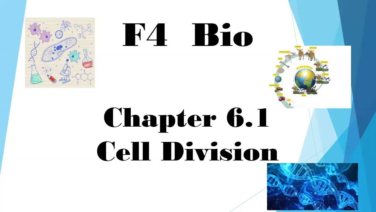F4 BIO Chapter 6【细胞可以分裂成很多？】 - YouTube