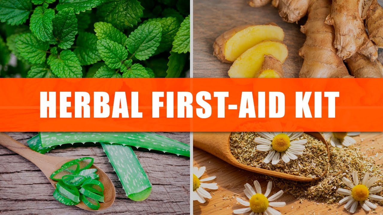 5 Plants to Have for Your Herbal First Aid Kit - YouTube