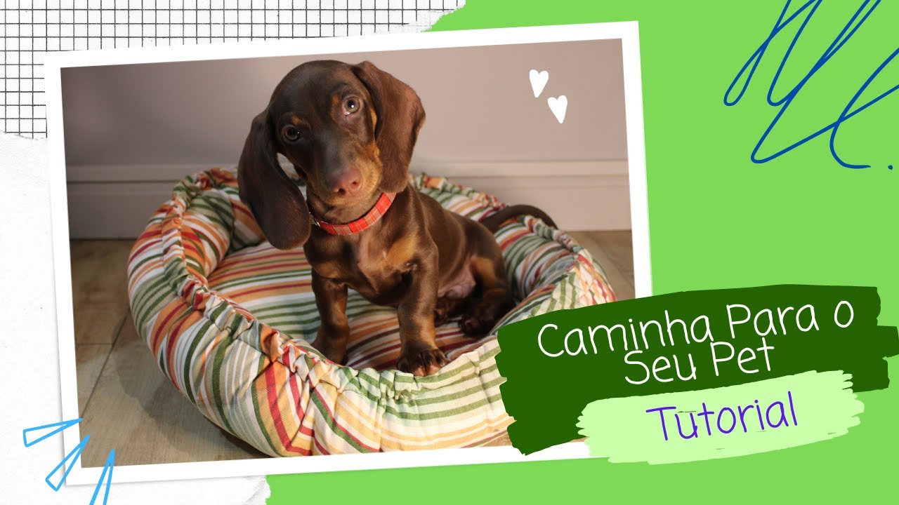 A CAMA MAIS CONFORTÁVEL PARA O SEU PET Tutorial - YouTube