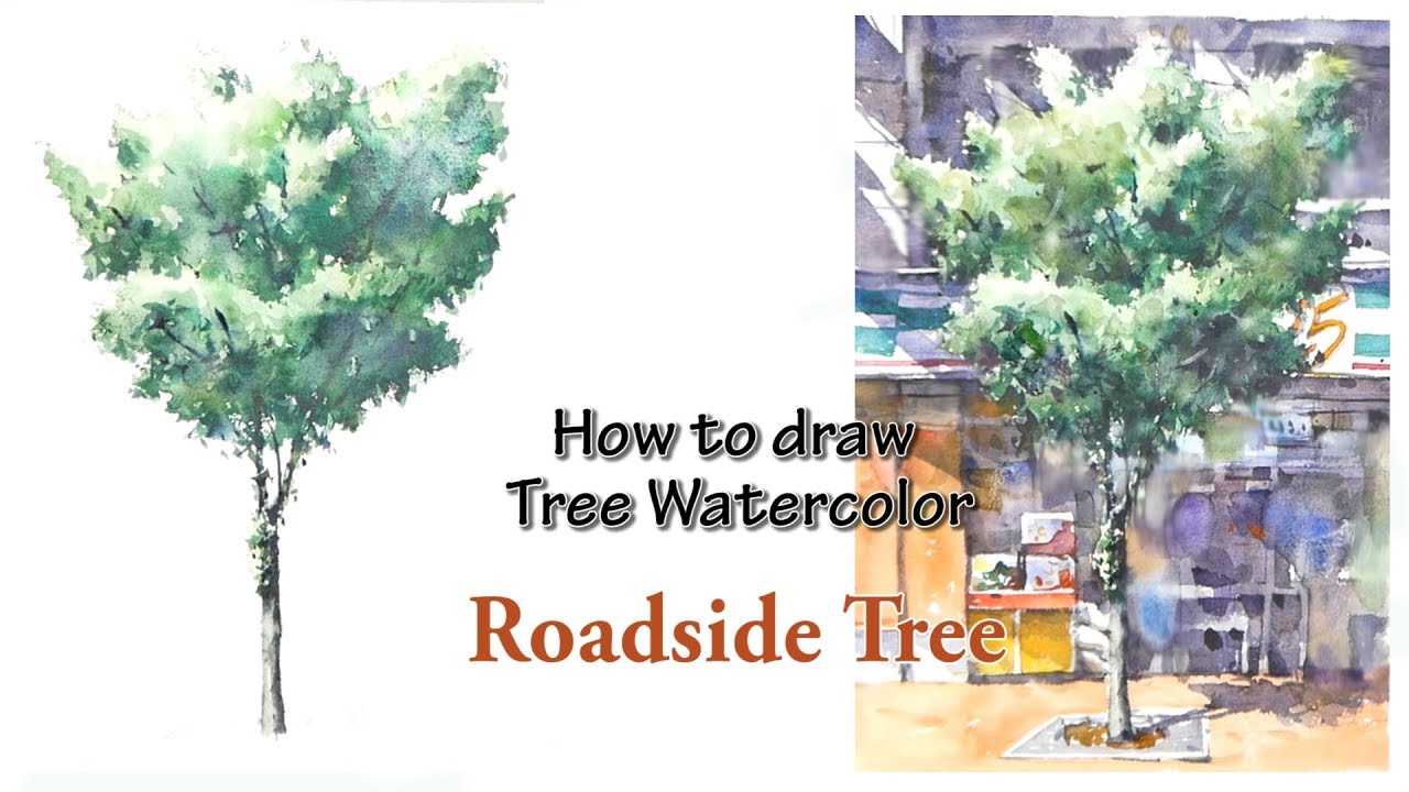 How to draw tree watercolor - roadside tree (sketch & colot mixing ...