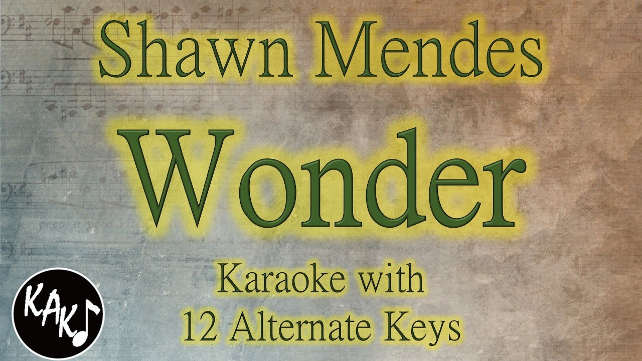 Wonder Karaoke - Shawn Mendes Lower Higher Female Original Key - YouTube