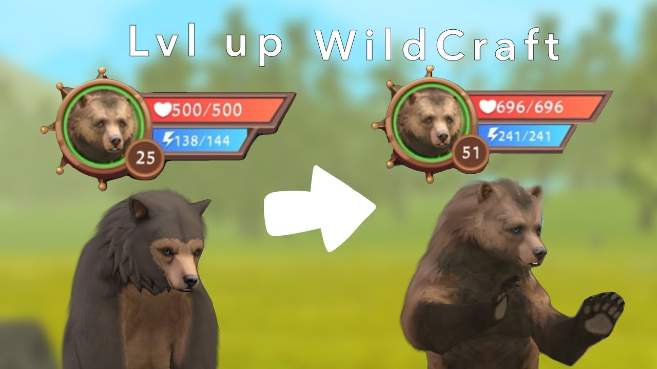 WildCraft- Level up 25-50 Bear🐻 || 1000 subs Special - YouTube