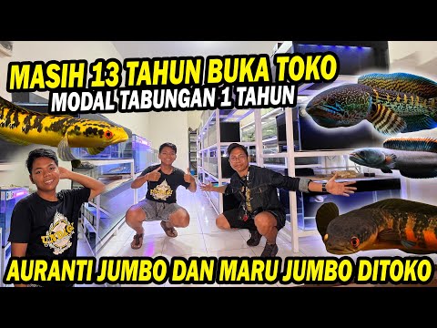 EDAN!! BOCIL 13 TAHUN PUNYA TOKO CHANNA?? MONSTER AURANTI DAN MARU