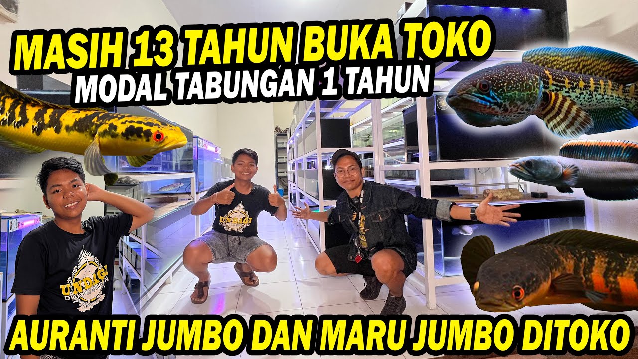 EDAN!! BOCIL 13 TAHUN PUNYA TOKO CHANNA?? MONSTER AURANTI DAN MARU - YouTube