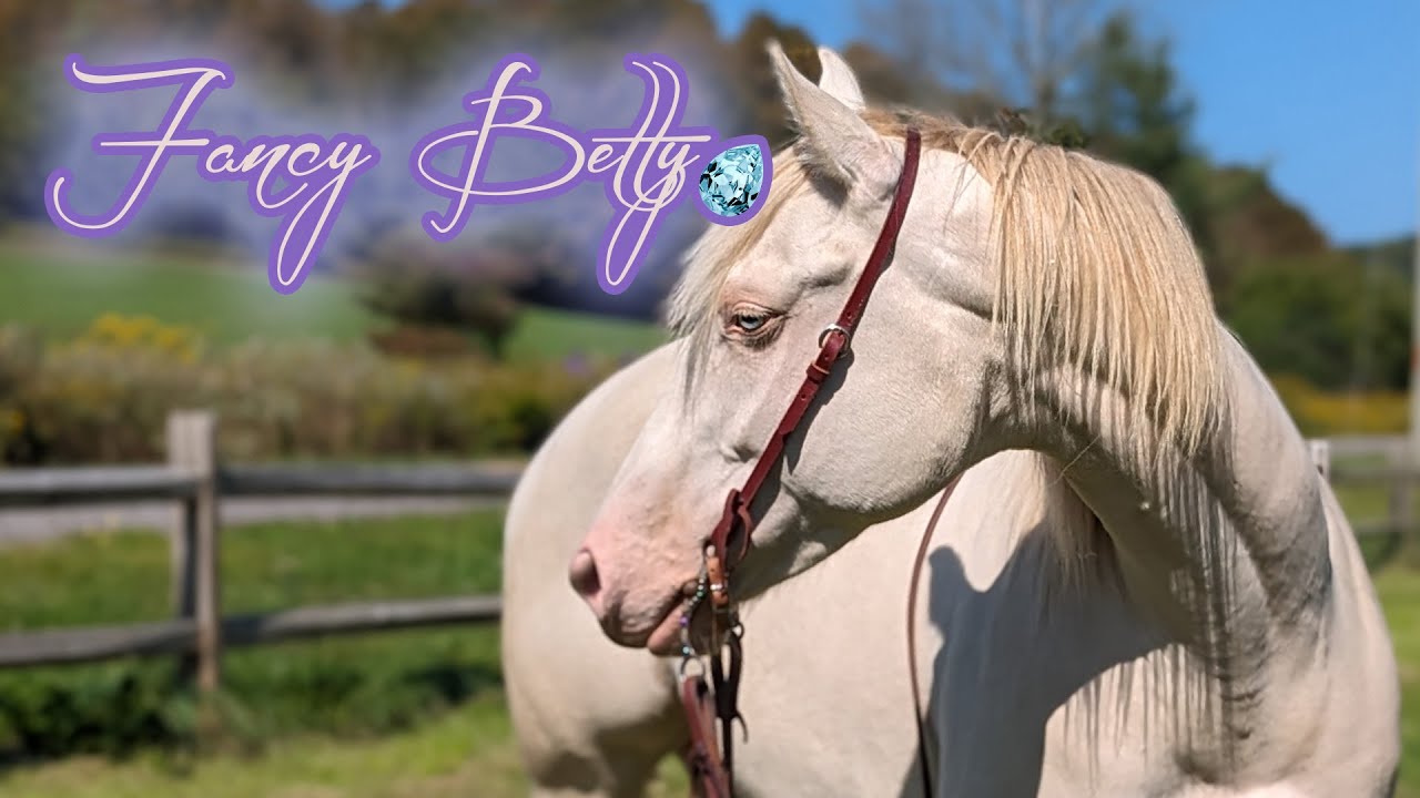 SOLD: FANCY BETTY - YouTube