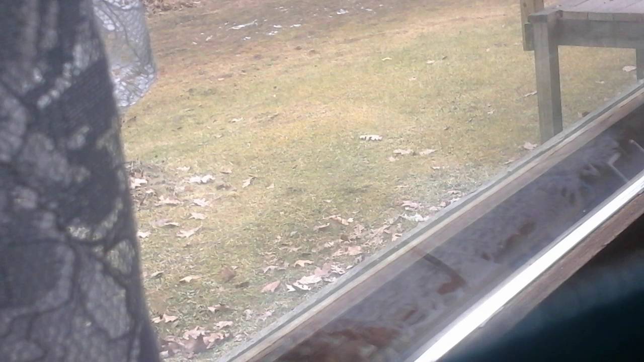 Look at dat - YouTube