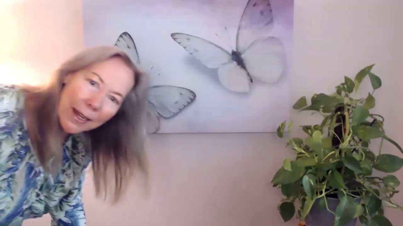 Use Cybernetic Transposition to Tame Distraction - YouTube