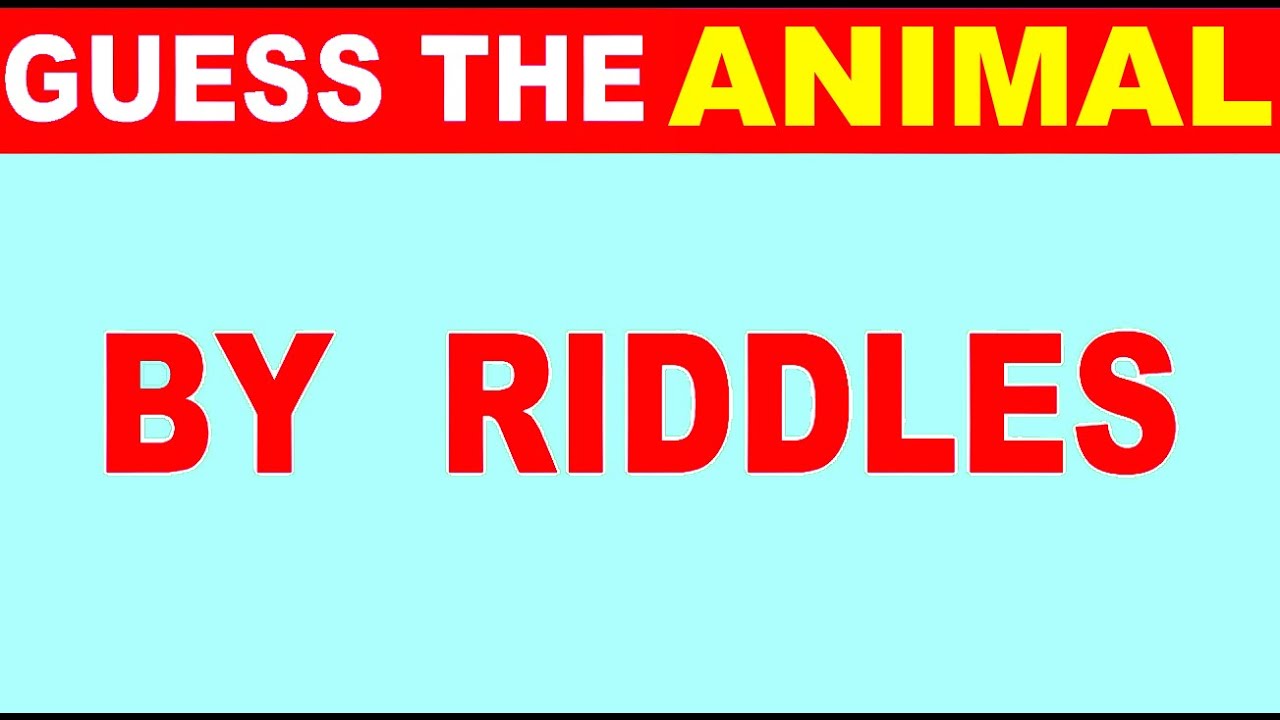 Pet Puzzles: Guess the Animals through Riddles! - YouTube
