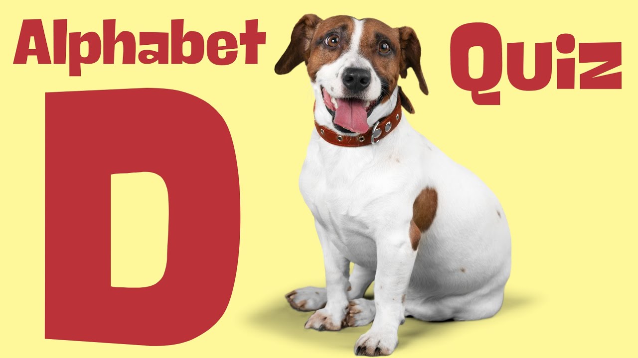 ABCD | Vocabulary of Alphabet "D" | Abc Phonics Song, Letter sound "D ...