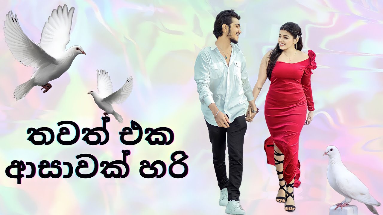 තවත් එක ආසාවක් හරි💙 | KaviGavi Vlogs ️| Kavindya Madhusarangi | Gavindu Nimeshana - YouTube
