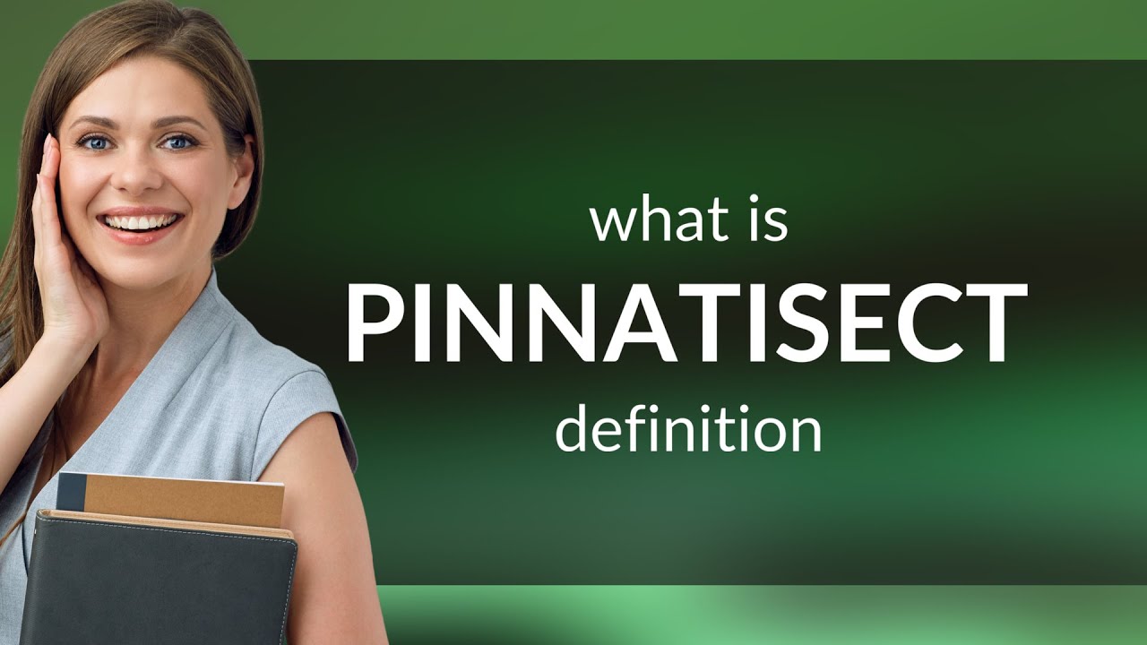 Pinnatisect | definition of PINNATISECT - YouTube