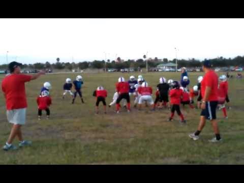 Rgv peewee texans