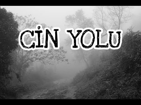 CİN YOLU  - YAŞANMIŞ KORKU HİKAYESİ - TAKİPÇİ HİKAYELERİ