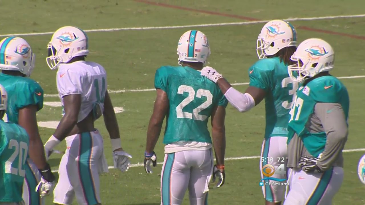 Dolphins’ Jamar Taylor & Rishard Matthews Fight at Training Camp - YouTube