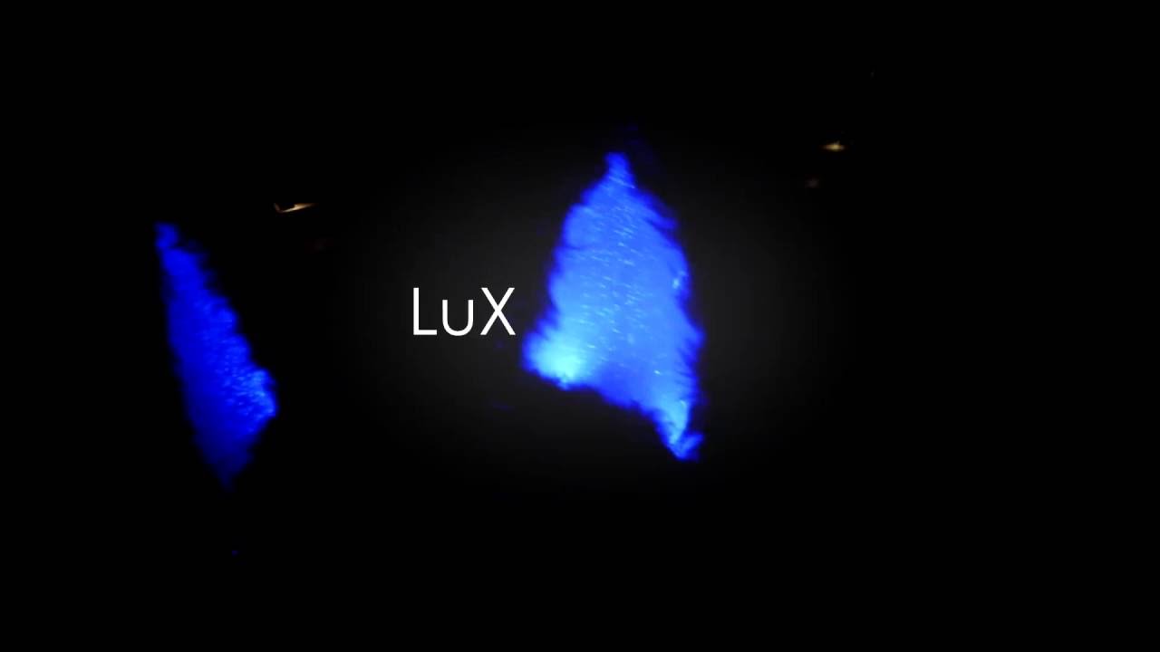 Catears - Glow in the Dark Headphones | Dango Crew - YouTube