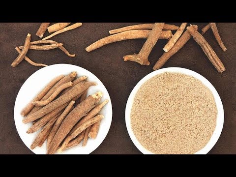 Ashwagandha or Withania somnifera: Benefits Side Effects and Dosage