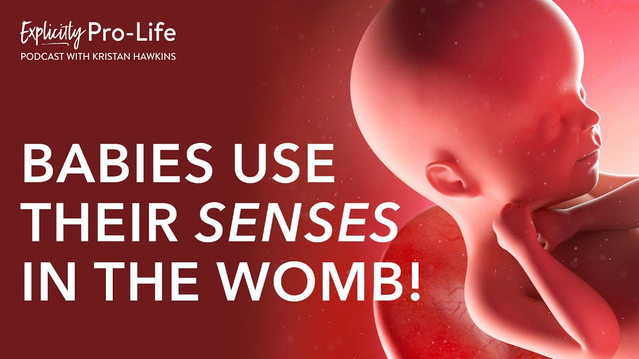 The Explicitly Pro-Life Podcast | Babies Use Their Senses in the Womb ...
