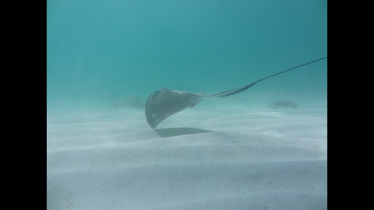 Cliff diving, Power Snorkling & Desert Hopping in Aruba, Psalms 38, and ...