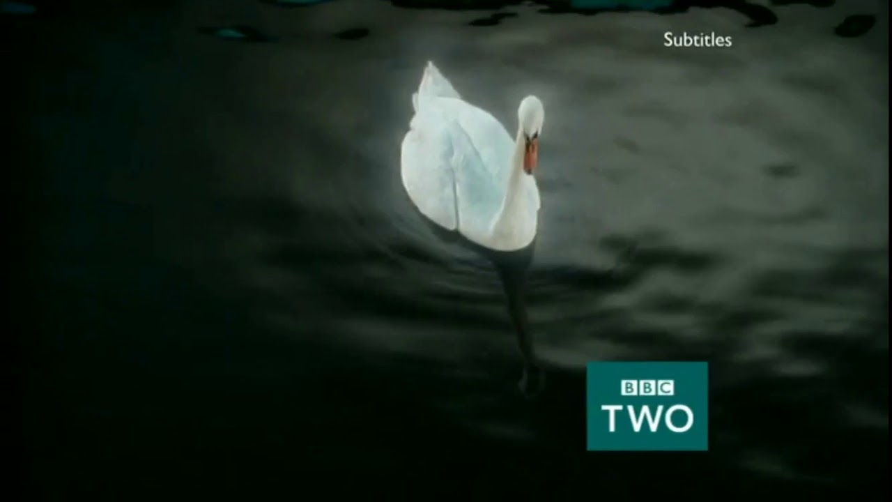 BBC Two: Swan Ident (2015-2018) - YouTube