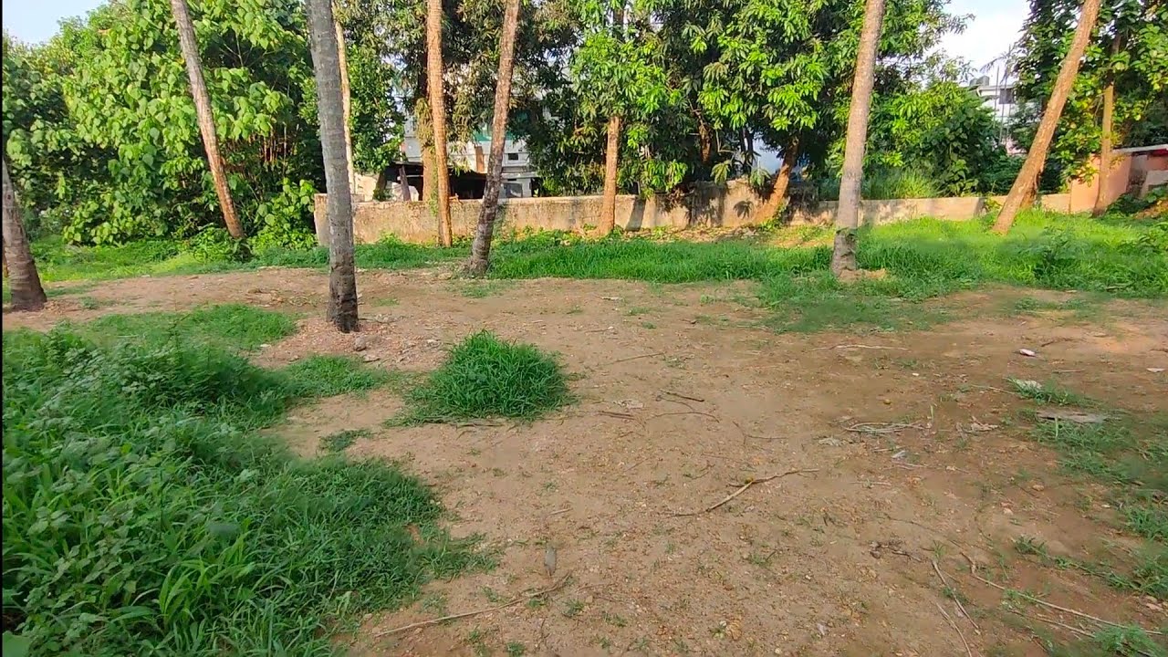 20 Cent Land For Sale in Ernakulam | Very Urgent Sale - YouTube
