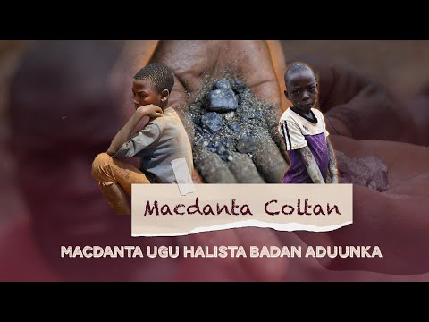 Macdanta ugu khatarta badan aduunka | Macdanta Coltan