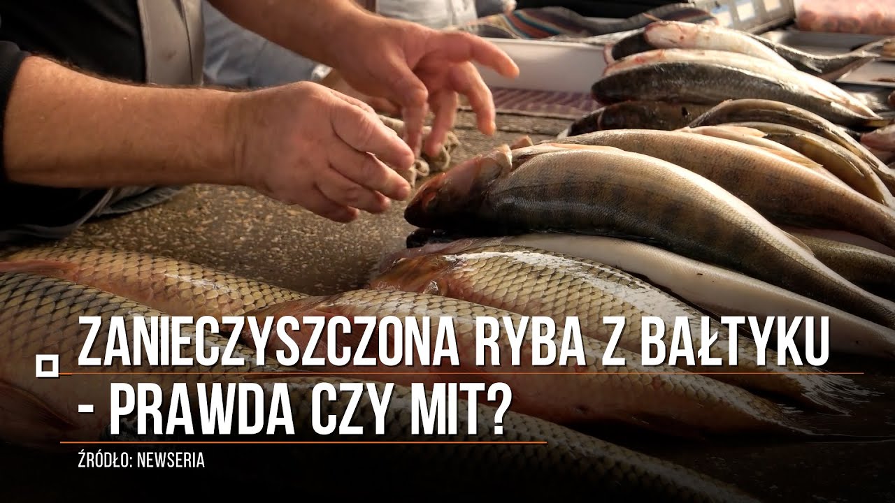 Ryba z Bałtyku - czy jest bezpieczna dla naszego zdrowia? - YouTube