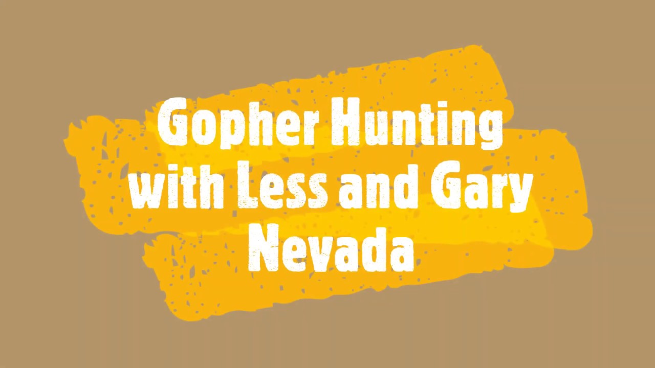 Gopher hunt Nevada 2020 - YouTube