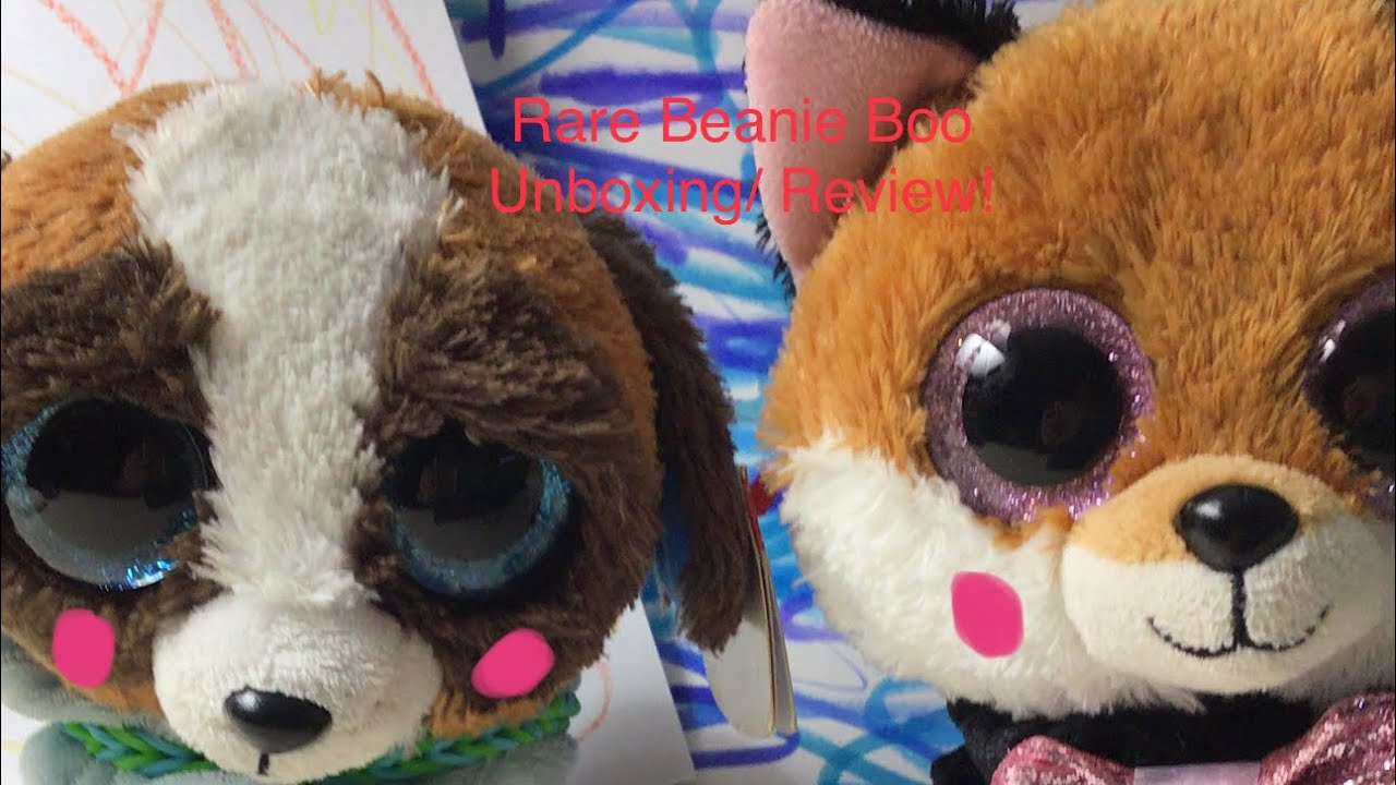 Rare Beanie Boo Unboxing / Review! - YouTube