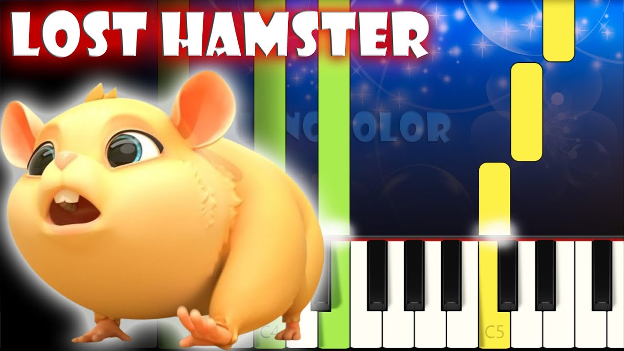 Lost Hamster - Cocomelon Nursery Rhymes | Piano Tutorial | Karaoke ...