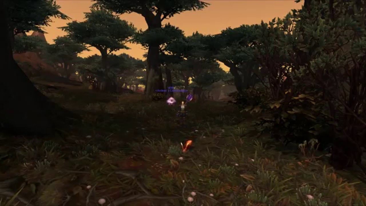 Willy - World of Warcraft WoW pet - YouTube