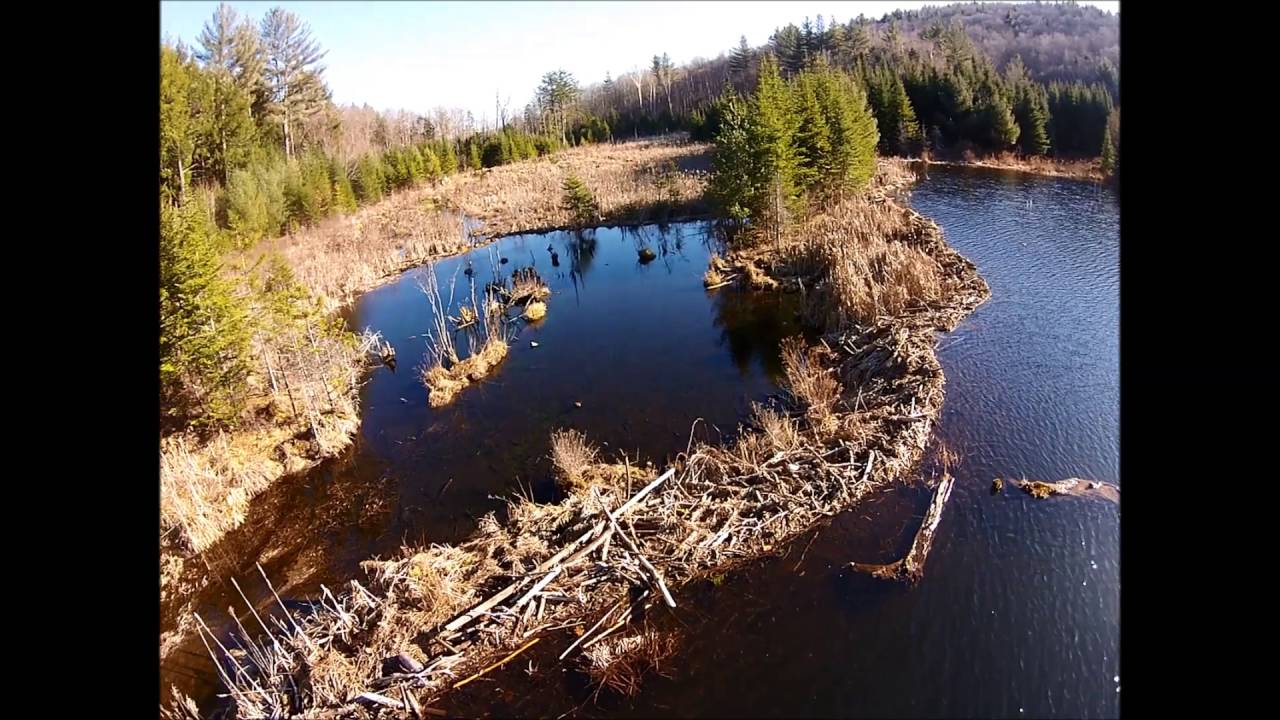Beaver Dam Flood