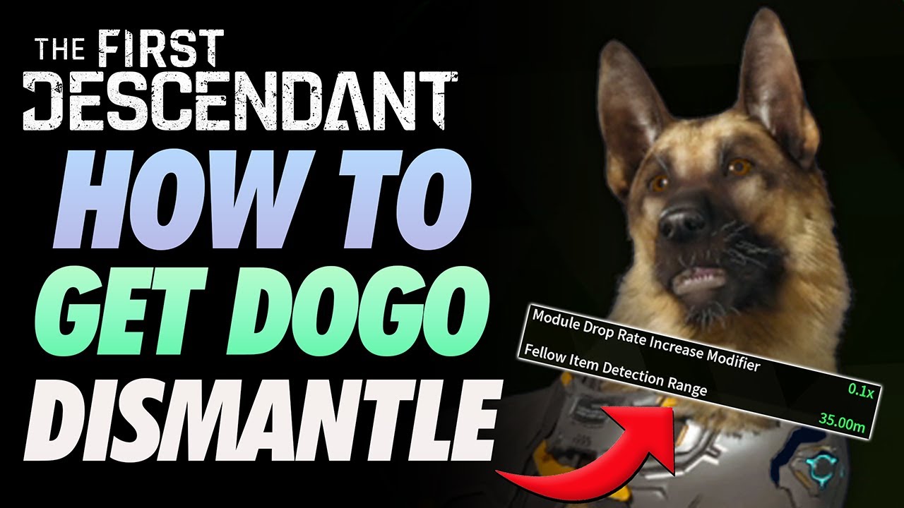 The First Descendant How to get Fellow Companion and set up Auto ...